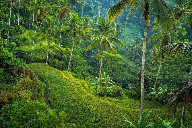 Best of Ubud: Nature, Culture and Temples Tour - Final Words