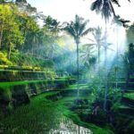 Best of Ubud - Ubud Tour Popular - All Inclusive - Final Thoughts: Is This Tour Right for You?