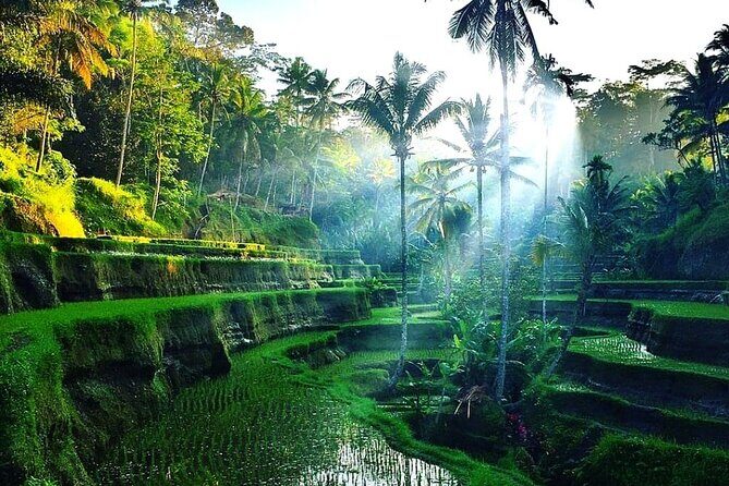 Best of Ubud - Ubud Tour Popular - All Inclusive - Final Thoughts: Is This Tour Right for You?