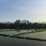 Best of Ubud with Cooking Class Experience - Deep Dive into the Itinerary