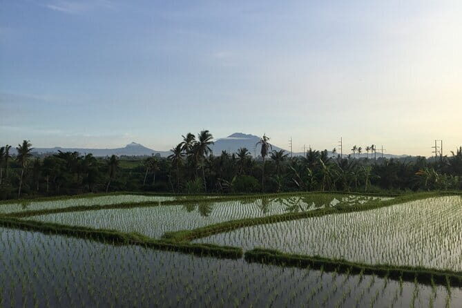 Best of Ubud with Cooking Class Experience - Deep Dive into the Itinerary