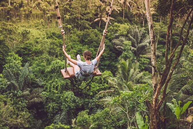 Best of Ubud with Jungle Swing Tour - Who Will Love This Tour?