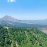 Best of Ubud With Ulu Petanu Waterfall Private Guided Tour - The Practicalities of the Tour