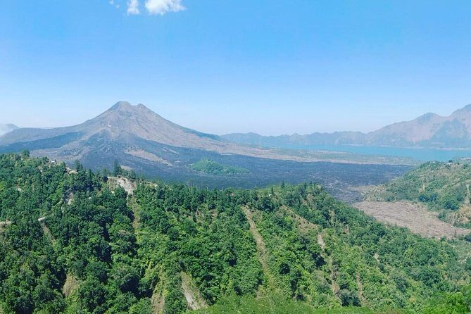 Best of Ubud With Ulu Petanu Waterfall Private Guided Tour - The Practicalities of the Tour