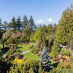 Best of Vancouver Private Tour - What Travelers Can Expect