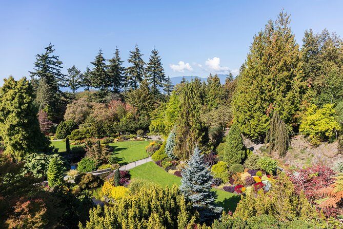 Best of Vancouver Private Tour - What Travelers Can Expect