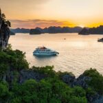Best Seller Halong Full Day Tour All Included Expressway Transfer - Practical Details and Tips
