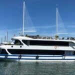 Best Seller Halong Luxury Day Cruise: Buffet Lunch & Sunset Party - Authenticity and Value