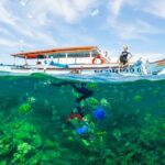 Best Snorkeling Lombok: Gili Nanggu, Gili Kedis & Gili Sudak Day-Trip - Authentic Experiences with Expert Guides