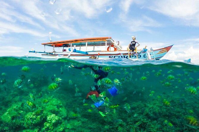 Best Snorkeling Lombok: Gili Nanggu, Gili Kedis & Gili Sudak Day-Trip - Authentic Experiences with Expert Guides