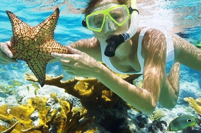 Best Snorkeling Trip at Blue Lagoon Bali - The Marine Experience: What You’ll See Underwater