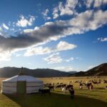 Best tour in Mongolian 7 days - What Does the Tour Offer Beyond Sights?