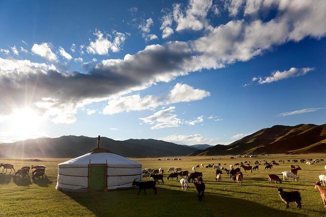 Best tour in Mongolian 7 days - What Does the Tour Offer Beyond Sights?