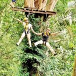 Best Ziplines Adventure 30 platforms with free transfer - Authentic Experiences and Traveler Feedback