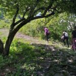 Between Tunnels and Bats - A Deeper Look Into the Tour Itself