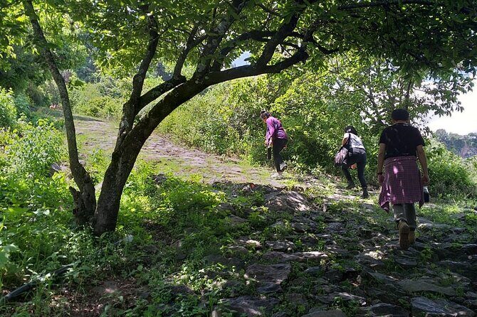 Between Tunnels and Bats - A Deeper Look Into the Tour Itself