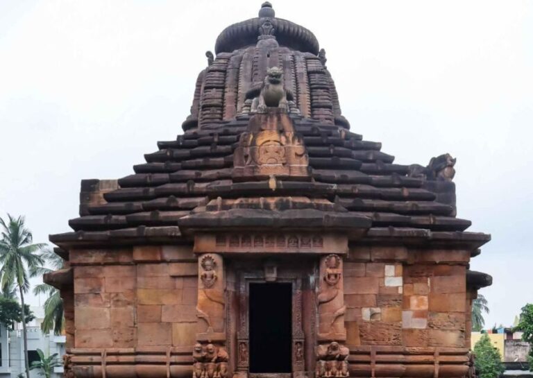 Bhubaneswar: 2 Hours Guided Heritage & Cultural Walking Tour - What’s Included and What’s Not