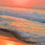 Bhubaneswar-Puri-Konark Triangle Tour - Transportation, Guides, and Overall Value