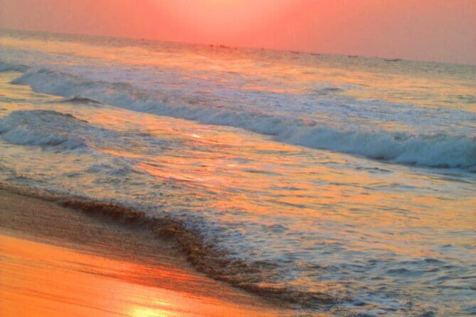 Bhubaneswar-Puri-Konark Triangle Tour - Transportation, Guides, and Overall Value