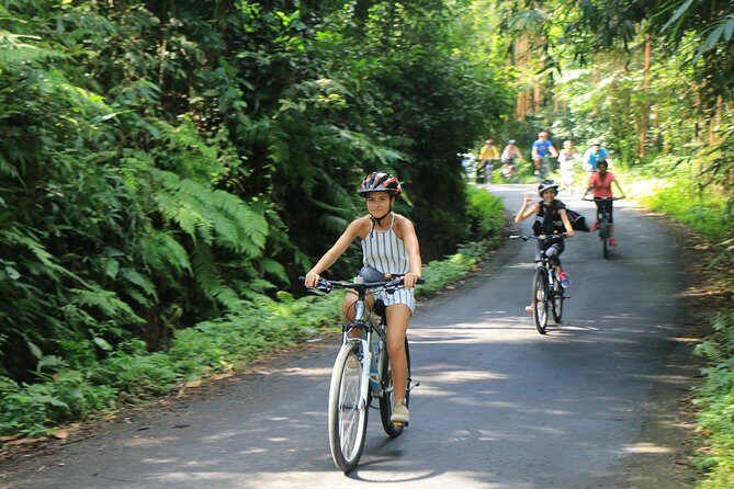 Bike ride in the rice fields, Bali countryside - The Practical Side: What You Need to Know