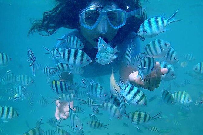 Bintan Snorkeling Tour - Who Will Love This Tour?