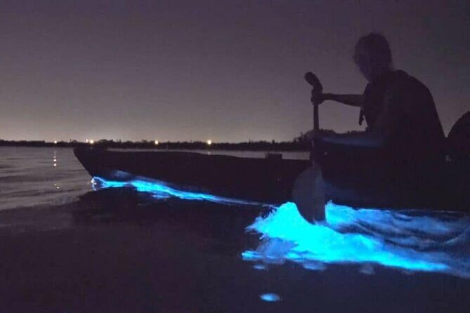 Bioluminescence Tour in Kayak in Holbox Island - Price and Value: Is It Worth It?