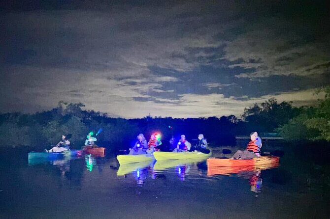Bioluminescent Kayak Tour in Floridas Indian River Lagoon - Key Highlights