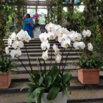 Bird Park & Butterfly Farm Nature Tour From Kuala Lumpur - Authentic Experiences and Practical Insights