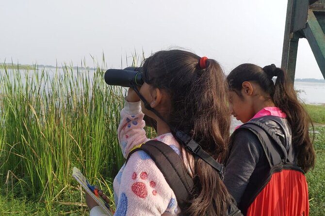 Bird Watching at Nandur Madhyameshwar Wildlife Sanctuary Nashik - FAQs