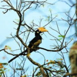 Bird Watching Tour Sri Lanka - 10 Days - What Past Travelers Say