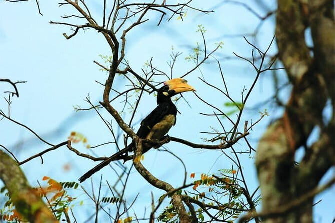 Bird Watching Tour Sri Lanka - 10 Days - What Past Travelers Say