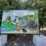 Bird Watching Tours in Samarkand - Who Should Consider This Tour?