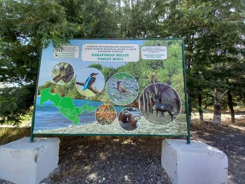 Bird Watching Tours in Samarkand - Who Should Consider This Tour?