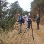 Birding Hike: Day Birdwatching in Kathmandu - The Bottom Line: Who Will Love This Tour?
