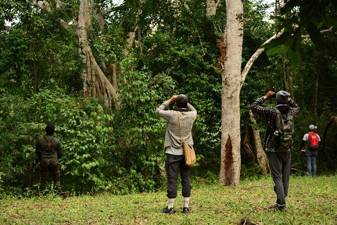 Birdwatching in Coba from Tulum - Shared Group Tour - Who Will Love This Tour?