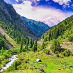 Bishkek: 5-Day Tour in Kyrgyzstan with Meals and Transfers - The Practicalities and Value