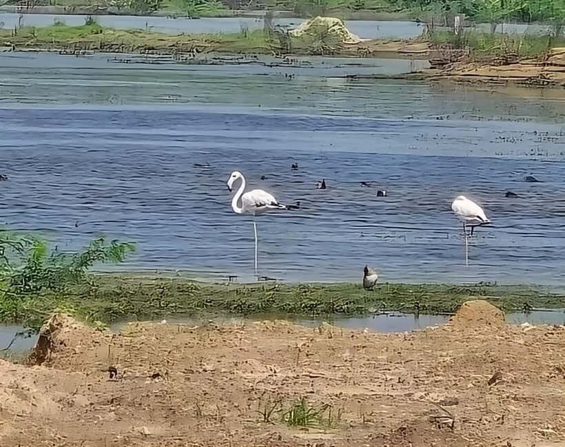 Bishnoi Village :Safari tour - Who Should Consider This Tour?