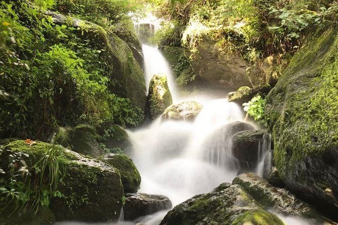 Bishnu Dwar (Shivapuri) Hike from Kathmandu - What Travelers Should Know Before Signing Up