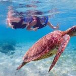 Bloo Lagoon Snorkeling East Bali Includes Transportation & Lunch - What’s Included and What to Expect