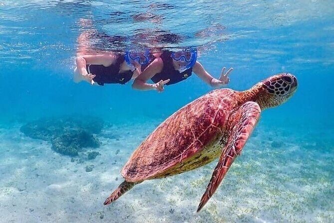 Bloo Lagoon Snorkeling East Bali Includes Transportation & Lunch - What’s Included and What to Expect