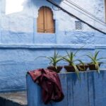 Blue City Heritage Walking Tour With Pick Up & Drop Off - Why This Tour Offers Good Value