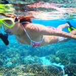 Blue Lagoon Paradise Snorkeling Tour - Key Points