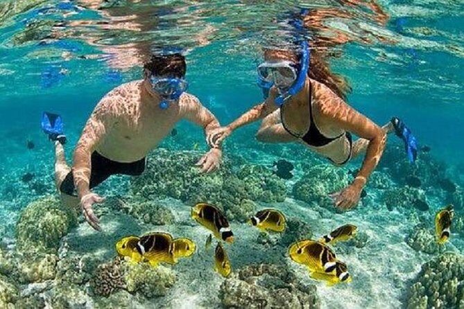 Blue Lagoon Snorkeling and Lunch with Visit Tegenungn Waterfall in Ubud - Analyzing the Value