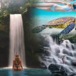 Blue Lagoon Snorkeling - Lunch - Kantolampo - Tibumana Waterfall - Transportation and Overall Experience