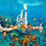 Blue Lagoon & Tanjung Jepun Snorkeling Private Tour - Authentic Experiences and Genuine Value
