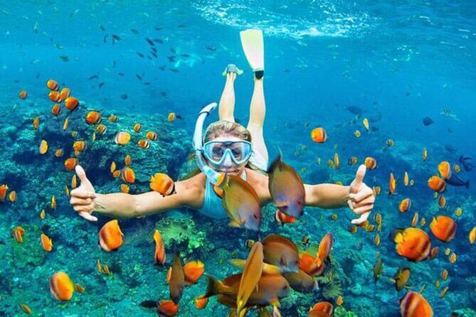 Blue Lagoon & Tanjung Jepun Snorkeling Private Tour - Authentic Experiences and Genuine Value
