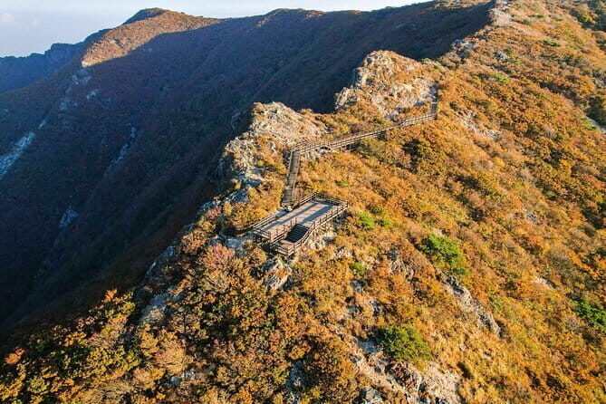 Blueline Park & Silver Grass Field(Ganwoljae) in Yeongnam Alps - A Deep Dive into the Experience
