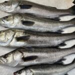 Boat Fishing Activity in Central Tokyo - Detailed Itinerary Breakdown