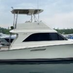 Boating or Fishing Charter Chicago's Lake Michigan - The Experience: A Deep Dive into the Details