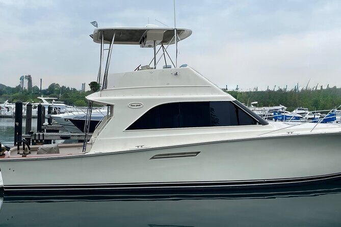 Boating or Fishing Charter Chicago's Lake Michigan - The Experience: A Deep Dive into the Details